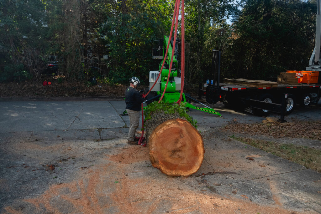 How The Crane Makes Tree Removal Clean And Efficient