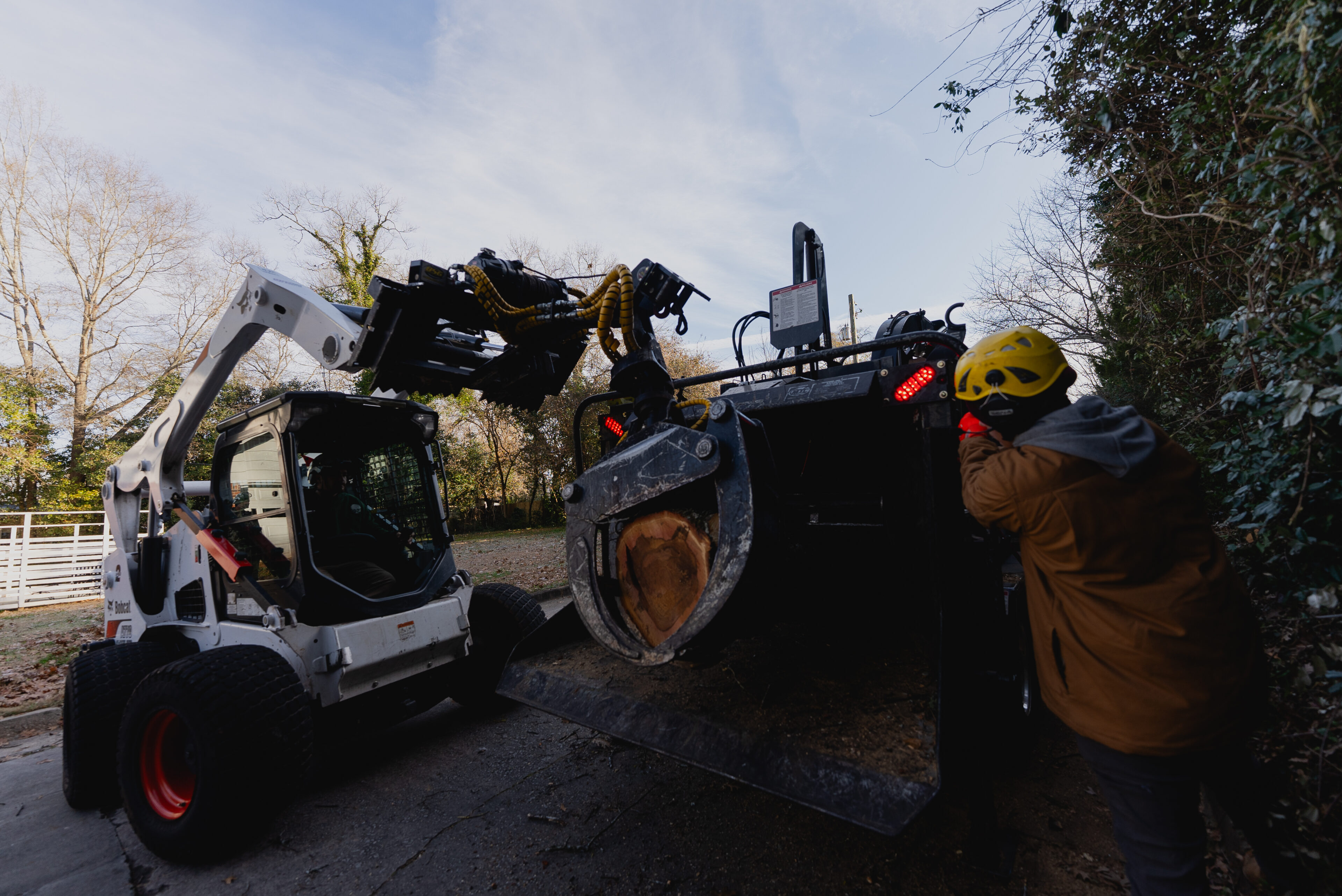 How To Find A Good Tree Removal Service | Southern Tree Solutions